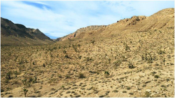 Ikuti Google Maps, Sekumpulan Orang Malah Terdampar di Gurun hingga Tak ...
