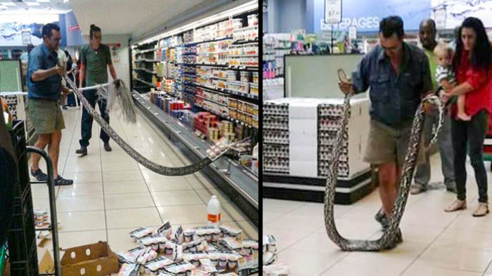 10 Gambar Absurd yang Ditemukan di Berbagai Tempat, Nomor 5 Paling ...