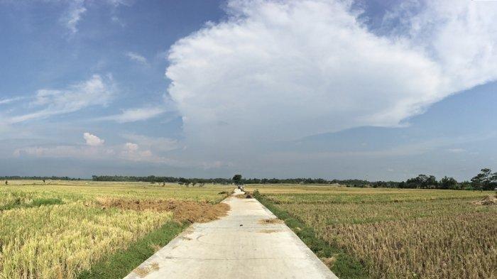 Geblek Pari, Tempat Wisata di Jogja yang Tawarkan Spot Foto Berlatar ...
