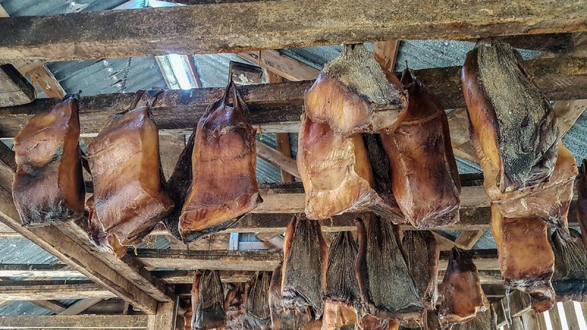 10 Makanan Unik di Islandia, Cobain Sensasi Makan Hiu Fermentasi hingga ...