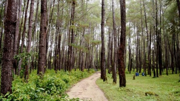 Selain Benteng Keraton, Inilah 4 Destinasi Wisata yang Wajib Dikunjungi ...