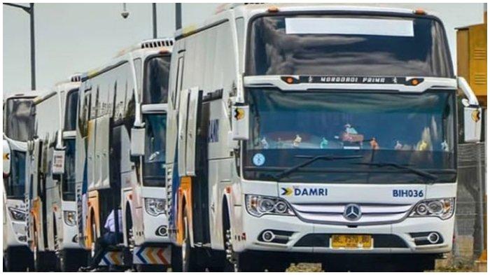 DAMRI Layani Rute Bandara Yogyakarta-Candi Borobudur, Cek Jadwal Keberangkatannya - Tribun Travel