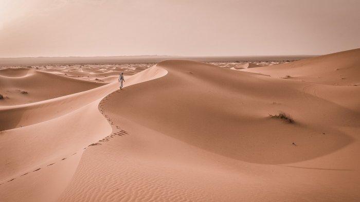 5 Wisata Padang Pasir di Indonesia, dari Gumuk Pasir Parangkusumo ...