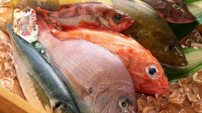 India Punya Tradisi Telan Ikan Hidup yang Dianggap Mampu Sembuhkan ...