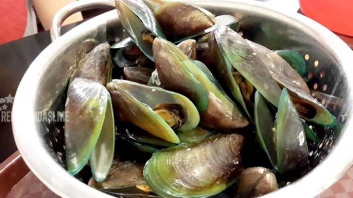 Mengandung Senyawa Beracun, Ikan dan Kerang dari Teluk Jakarta Tak ...