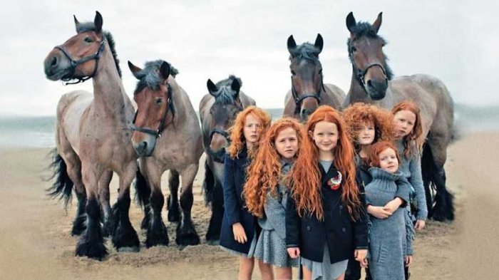 Negara Tercantik di Dunia, Inilah 10 Potret Lanskap Alam Irlandia yang ...