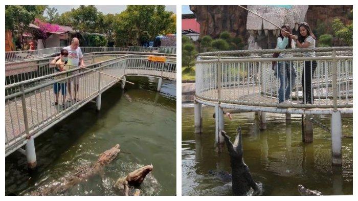 Harga Tiket Masuk Predator Fun Park, Cek Syarat dan Ketentuan untuk ...