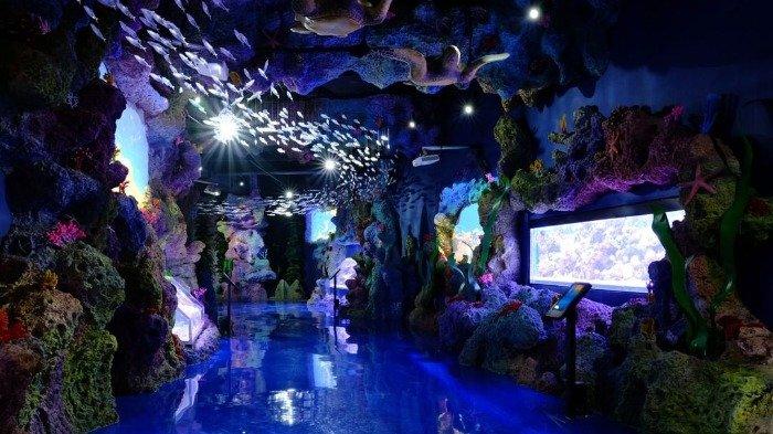 Harga Tiket Masuk Jakarta Aquarium, Tempat Wisata di Jakarta untuk ...