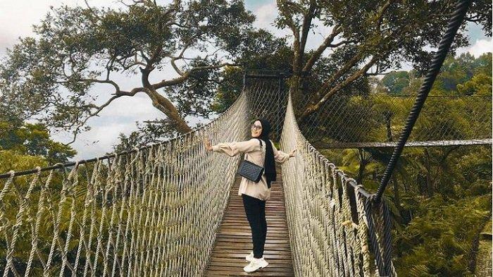 5 Jembatan Cantik di Bogor Ini jadi Spot Foto Favorit Wisatawan, Ada ...