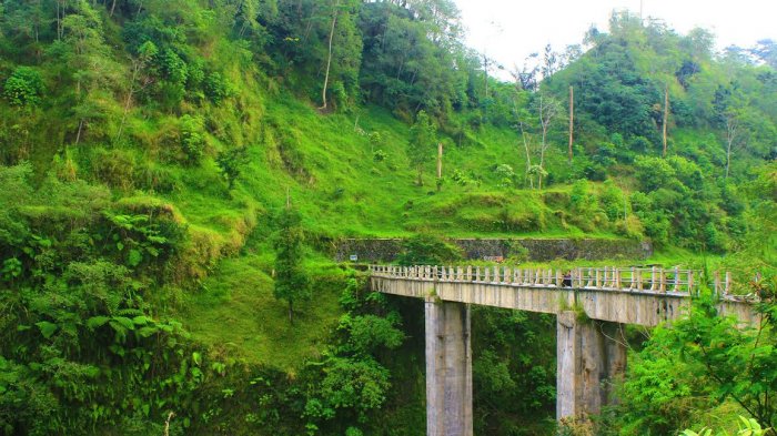 Wisata Jogja - Tak Jauh dari Kaliurang, Jembatan Pluyon Bisa Dijadikan ...