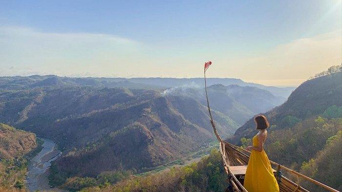 15 Tempat Wisata Instagramable di Jogja, Mulai Hutan Pinus Pengger ...