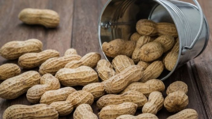 4 Jenis Camilan Kacang Tradisional Khas Indonesia, Ada Ampyang hingga ...