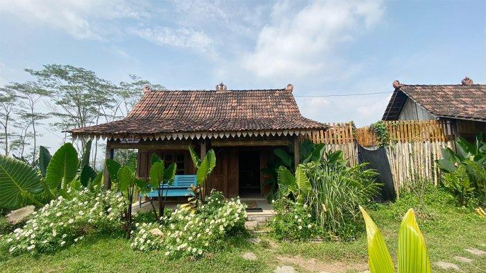 Staycation di Omah Sebumi Magelang, 'Healing' Sambil Berkebun dan ...