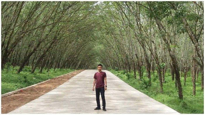Kebun Karet Trikora, Spot Foto Baru yang Sedang Jadi Hits di Lampung - Tribun Travel
