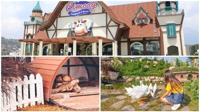 Informasi Terbaru Harga Tiket Masuk Cimory Dairyland Prigen 2021 ...