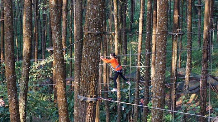 Harga Tiket Masuk Kopeng Treetop Semarang, Lengkap dengan Paket Outbond ...
