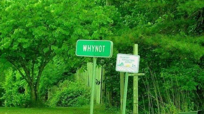 Fakta Unik Kota Whynot, Kota di Carolina Utara dengan Asal-usul Namanya ...