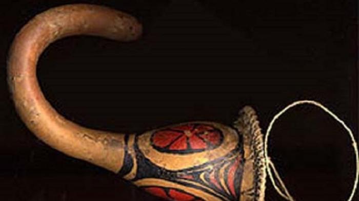 Fakta Koteka - Sering Dijumpai di Papua, Begini Realita Koteka yang ...