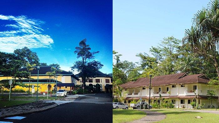 6 Fakta Unik Kuala Kencana, Kawasan Modern di Timika yang Diresmikan ...