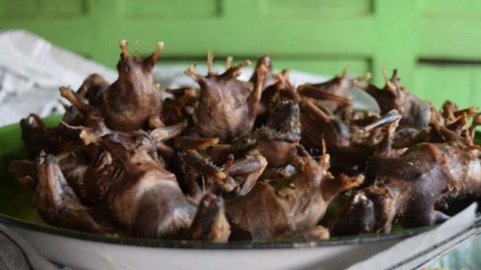 Mengenal Kelelawar Bacem, Salah Satu Kuliner Ekstrem di Jogjakarta ...