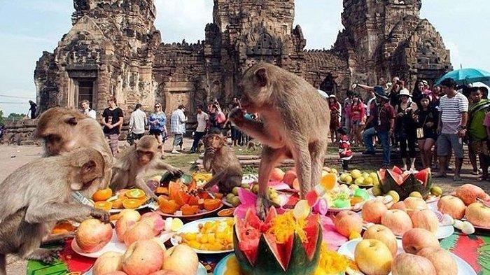 Lopburi Monkey Festival, Festival Unik di Thailand dengan Tamu Ribuan ...