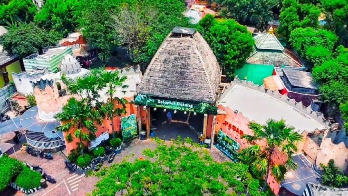Harga Tiket Masuk Maharani Zoo & Goa Lamongan, Tebar Promo selama Mei ...