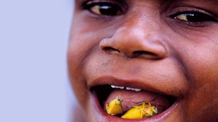 Extrem Food - Ini 5 Makanan Aneh di Seluruh Dunia, yang Terakhir Ada di ...