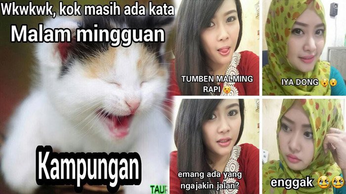 Galau di Malam Minggu, 10 Meme Ini Bisa Jadi Obat Buat Para Jomblo ...