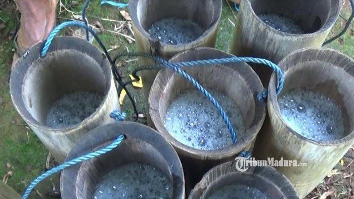 Mencoba Manisnya Legen, Minuman Khas Tuban untuk Sajian Buka Puasa ...