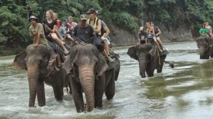 6 Tempat Wisata di Langkat, Cobain Serunya River Tubing dan Main Bareng ...
