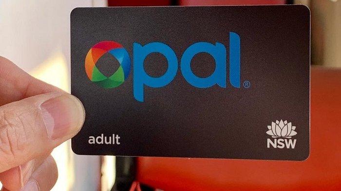 Opal Card, Kartu Sakti untuk Keliling Sydney yang Wajib Traveler Miliki ...