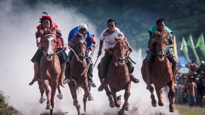 Pacu Kude dan 4 Tradisi Unik Sambut 17 Agustus, Simbol Melestarikan Budaya - Tribun Travel