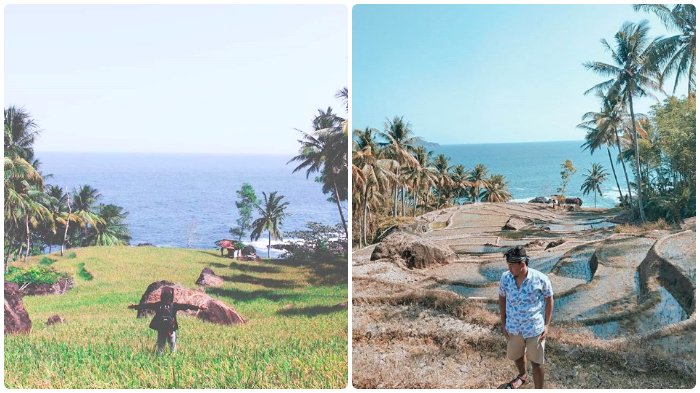 Hits di Instagram, Pantai Rajaan di Trenggalek Suguhkan Suasana Sawah ...