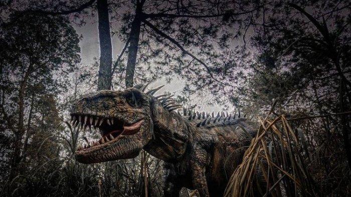 Berburu Dinosaurus di Tengah Hutan Pinus dan 3 Aktivitas Seru Lain di ...