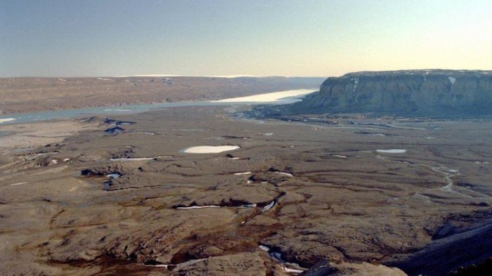 Mengenal Peary Land: Daerah di Ujung Utara Bumi yang Jadi Gurun Kutub ...