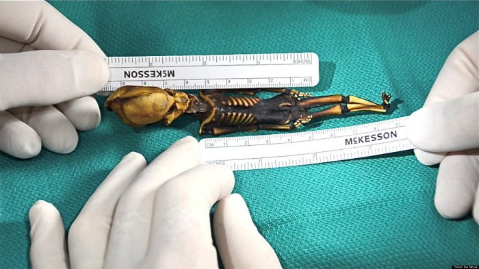 Misteri Dunia - Bertemu Alien Sampai Kerangka Terecil, Ini 10 Insiden ...
