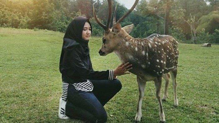 Harga Tiket Masuk Penangkaran Rusa Cariu, Wisata Alam di Bogor yang ...