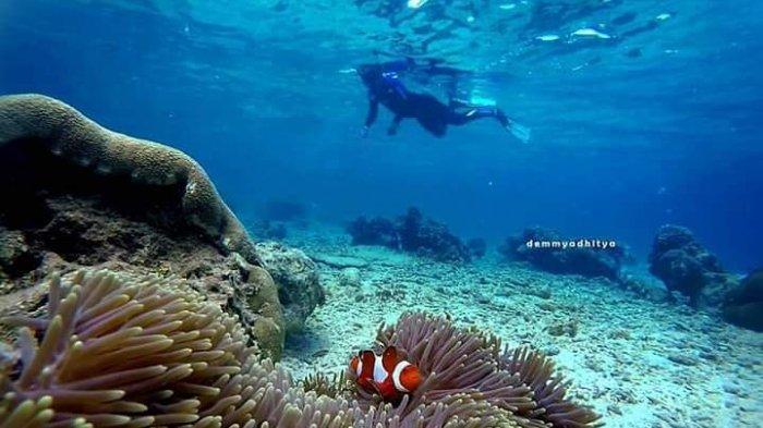 5 Wisata Alam yang Wajib Kamu Kunjungi saat Liburan ke Kutai Timur ...