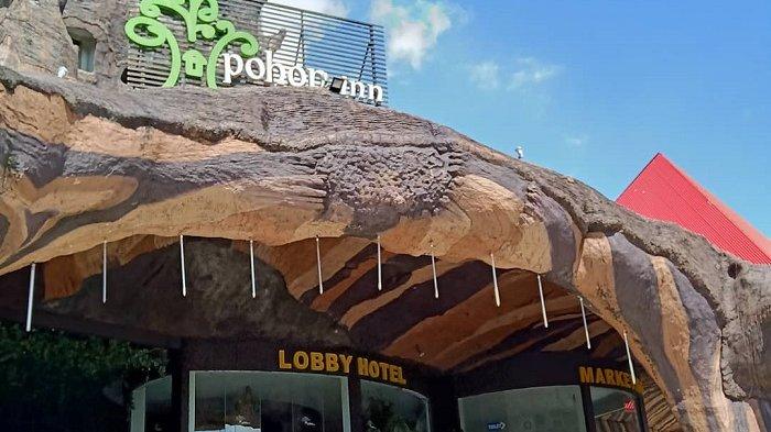 Pohon Inn, Hotel Pohon Raksasa dengan Nuansa Hutan di Batu - Tribun Travel
