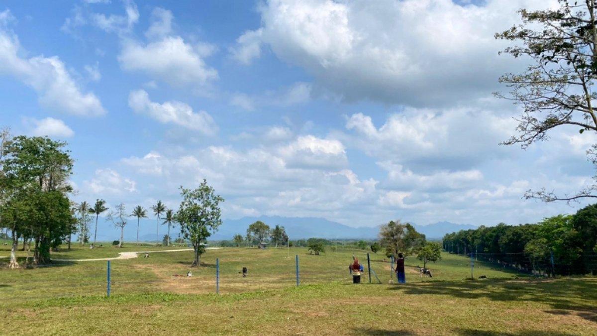 Wisata Propang Ranch yang Viral di Magelang, Punya Padang Rumput Luas ...