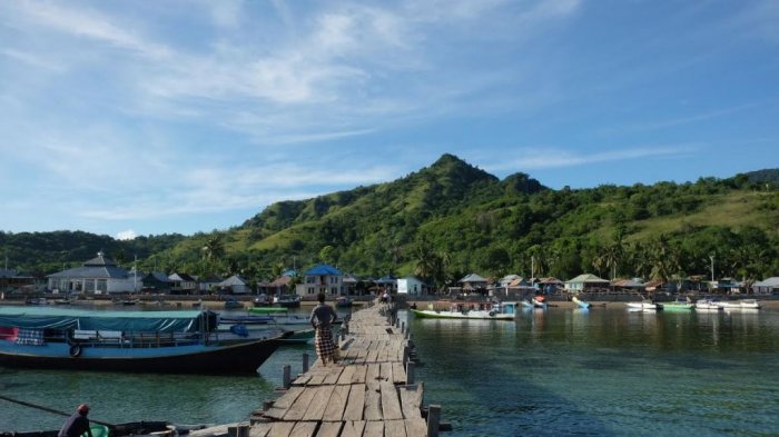 Pulau Rinca di Taman Nasional Komodo, Bisa Mampir Sebelum ke Pulau ...