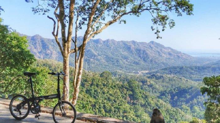 TRAVEL UPDATE: Pusuk Pas, Tempat Berburu Durian di Lombok yang Tawarkan ...