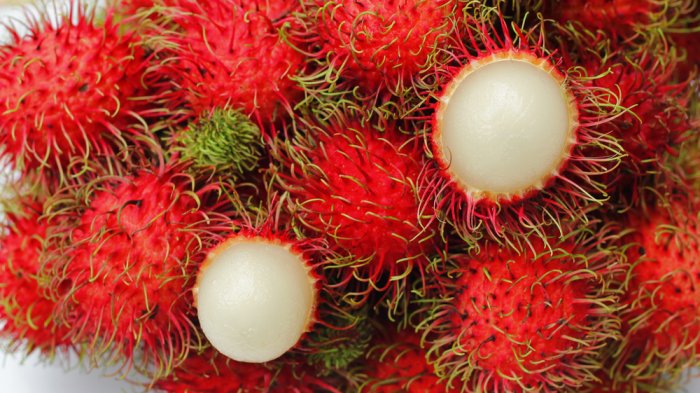 Diklaim Sebagai Superfood, Inilah 10 Manfaat Istimewa di Balik Rasa ...