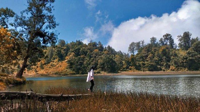 5 Tempat Wisata Alternatif Sekitar Gunung Bromo Selama Car Free Month ...