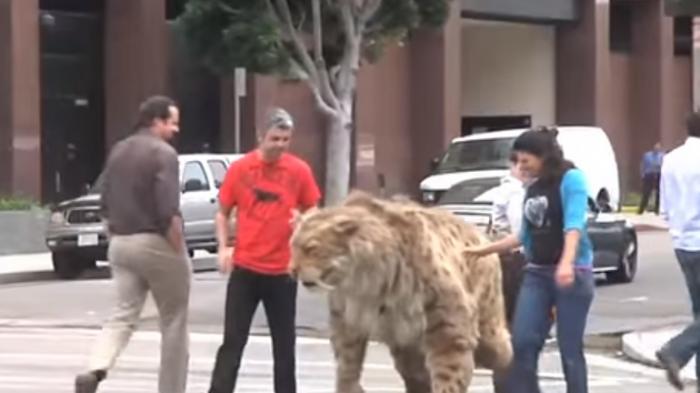 Wow! Ada Kucing Raksasa dari Zaman Prasejarah, Ternyata Ini yang Ada di ...