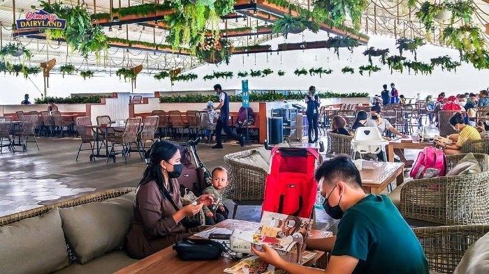 Cimory Dairyland Prigen Tawarkan Paket Halal Bi Halal Mulai Harga Rp 90 ...