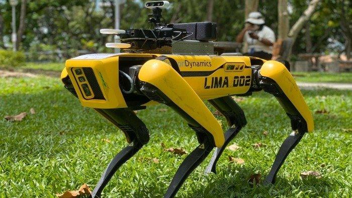 Singapura Hadirkan Robot Spot untuk Patroli dan Ingatkan Warga Soal ...