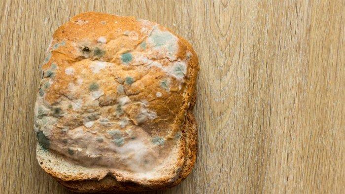 Simpan Banyak Bakteri hingga Sebabkan Alergi, Roti Berjamur Sebaiknya ...