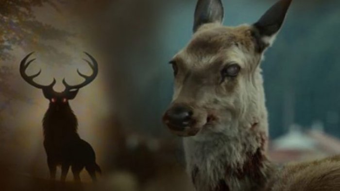 Infeksi Virus Mematikan Ubah Rusa Jadi Zombie, Para Ahli Peringatkan ...