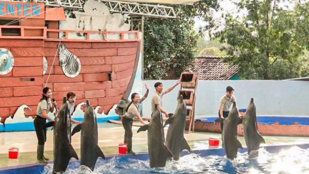 Safari Beach Jateng: Lokasi, Harga Tiket Masuk, Daya Tarik, dan Jam ...